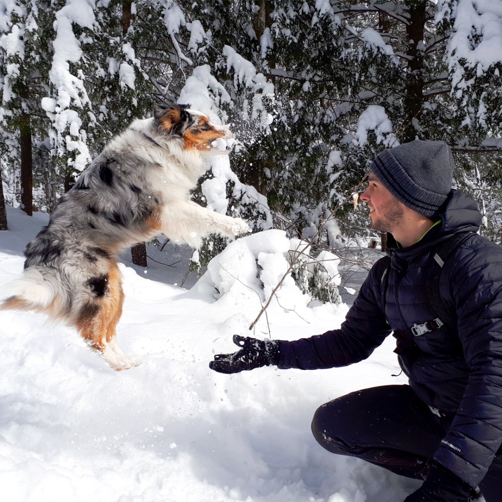 Home | Hot Paws